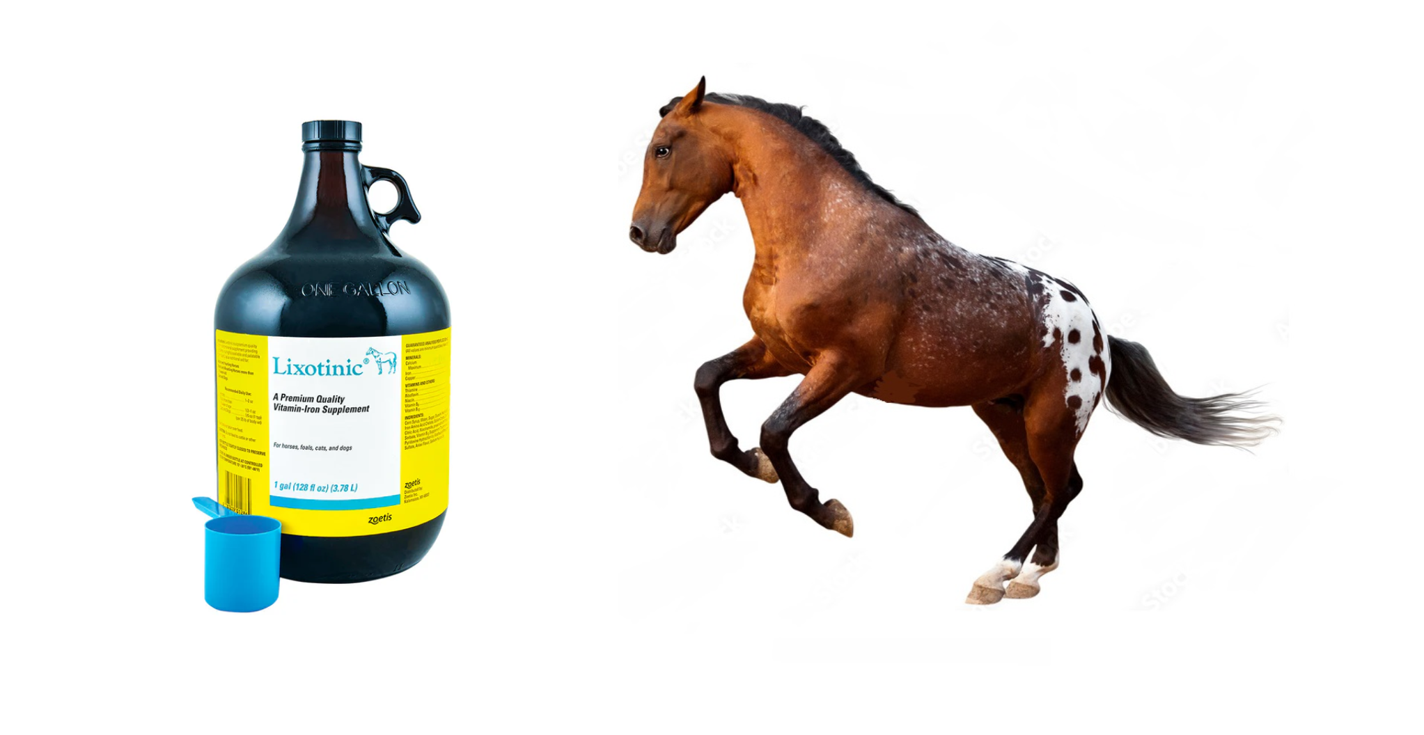 Lixotinic Liquid for Horses - SCV VET SUPPLIES